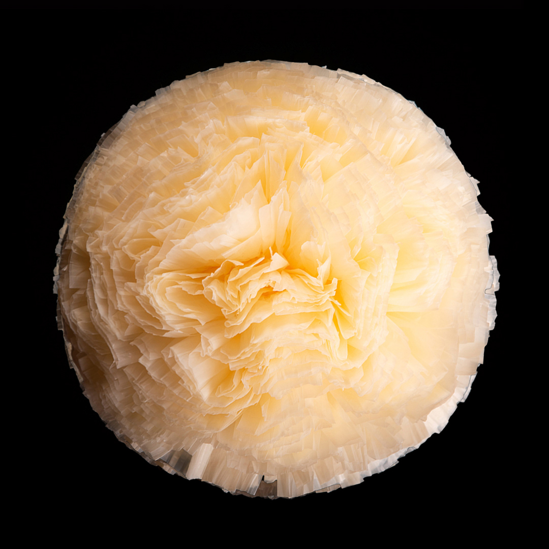 Fluffy Dance Poms