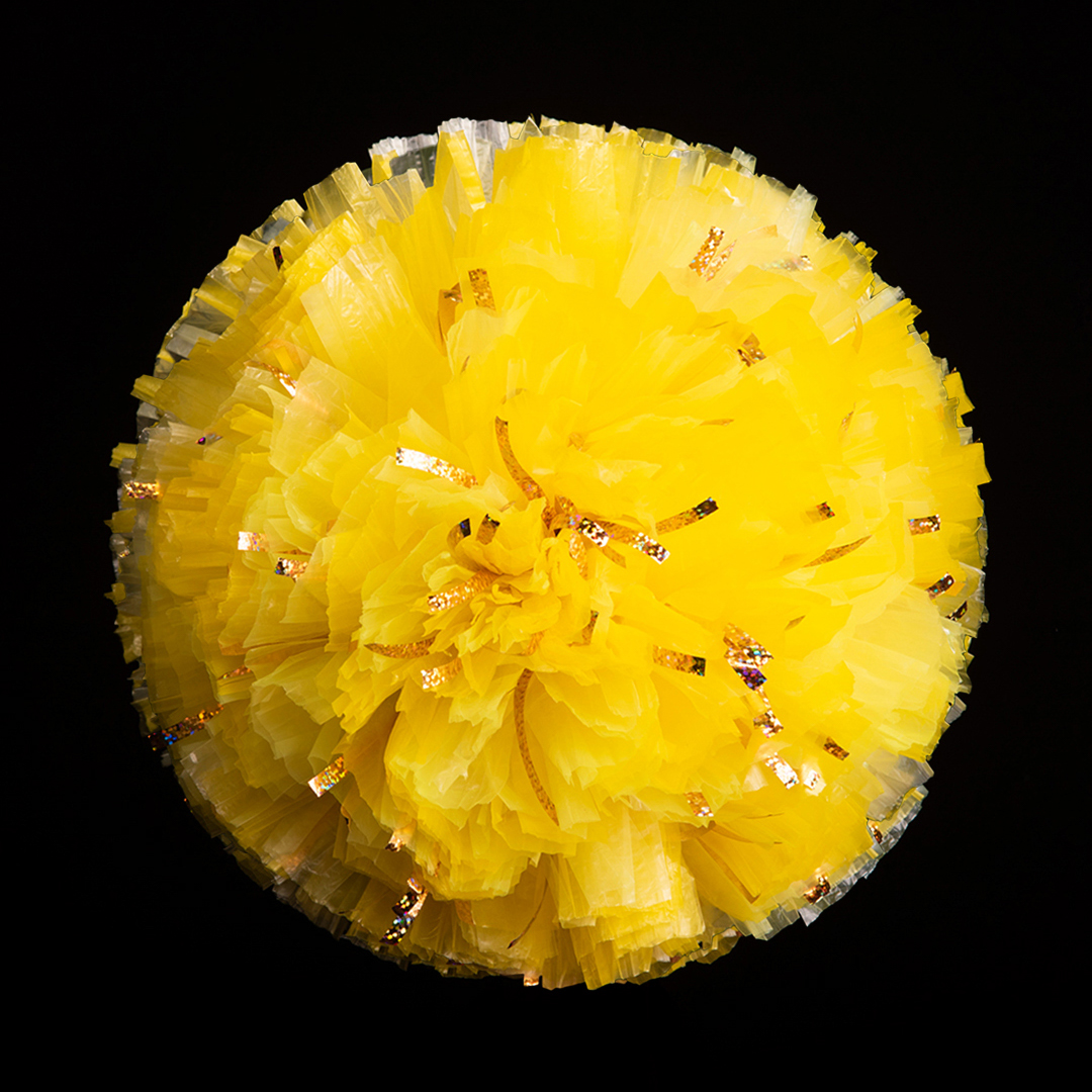 Fluffy Dance Poms