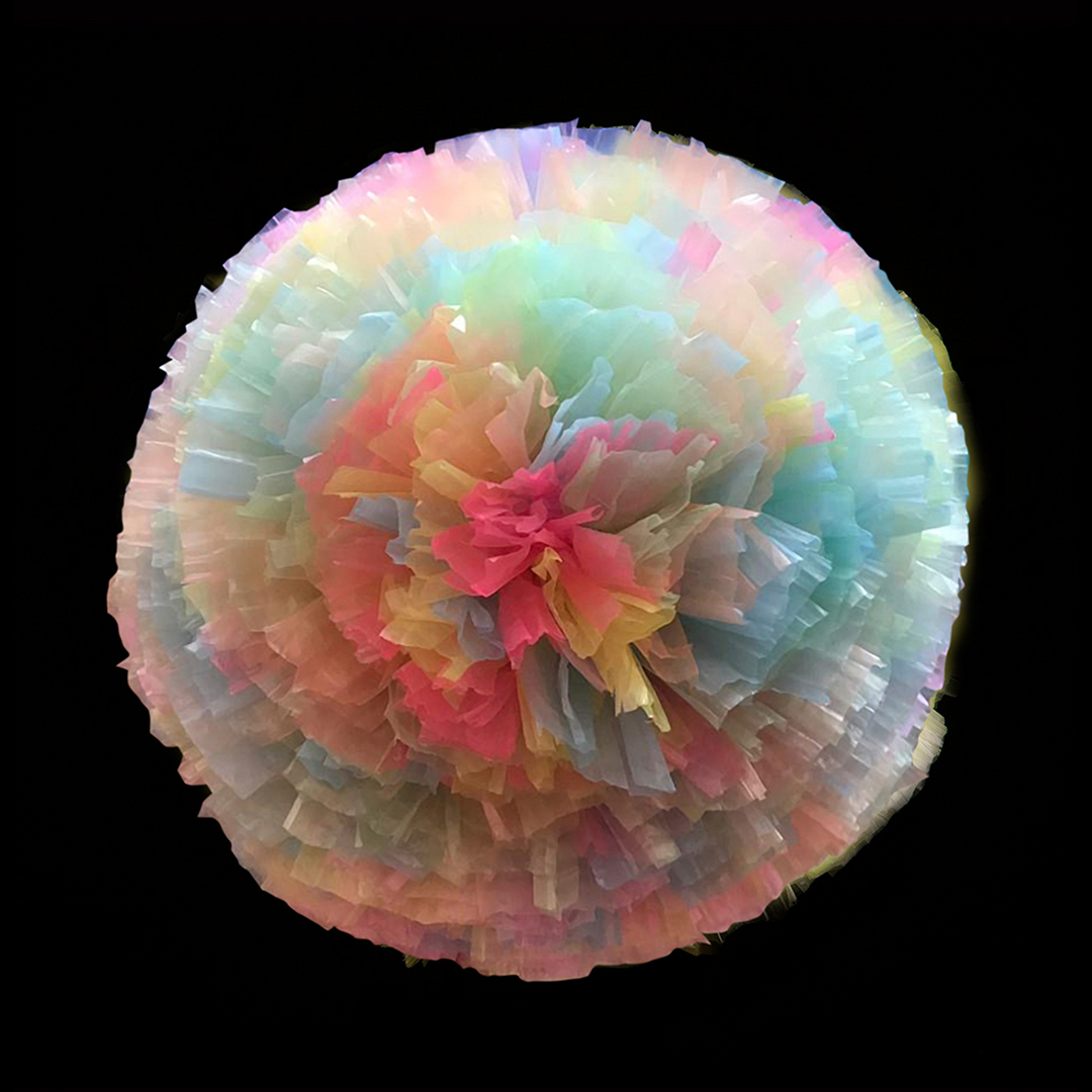 Fluffy Dance Poms