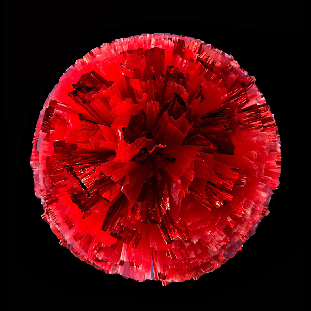 Fluffy Dance Poms
